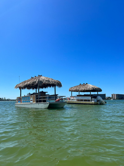 Home | Best Tiki Tour in St. Pete | St. Pete Tiki Tours