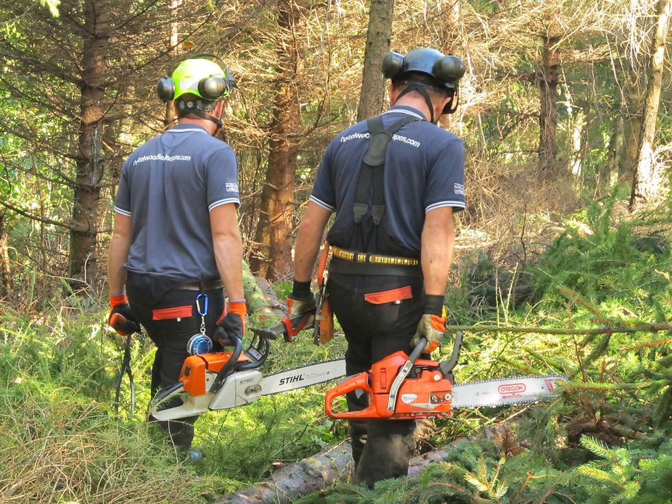 Land Management & Tree Care | Hazelwood Landscapes