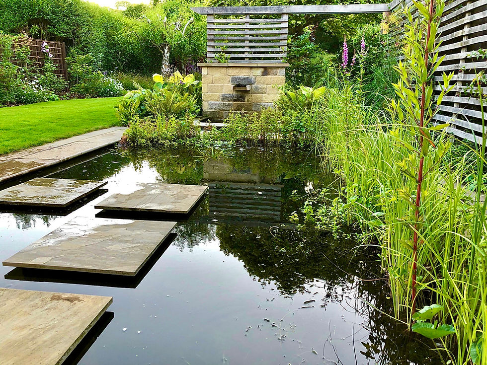 Wildlife Ponds & Bog Gardens | Hazelwood Landscapes