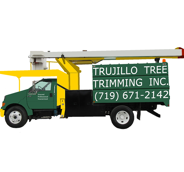 trimology tree services