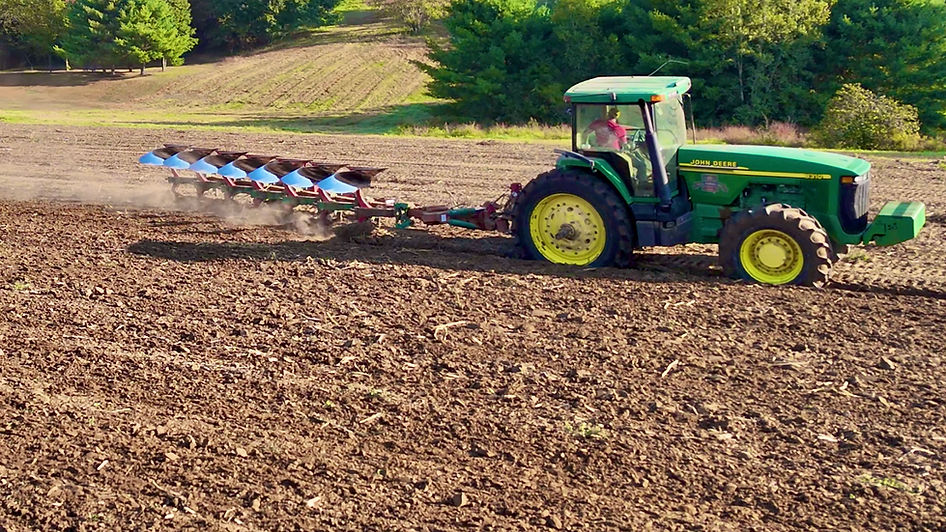 Gallery | Bell Farms Inc