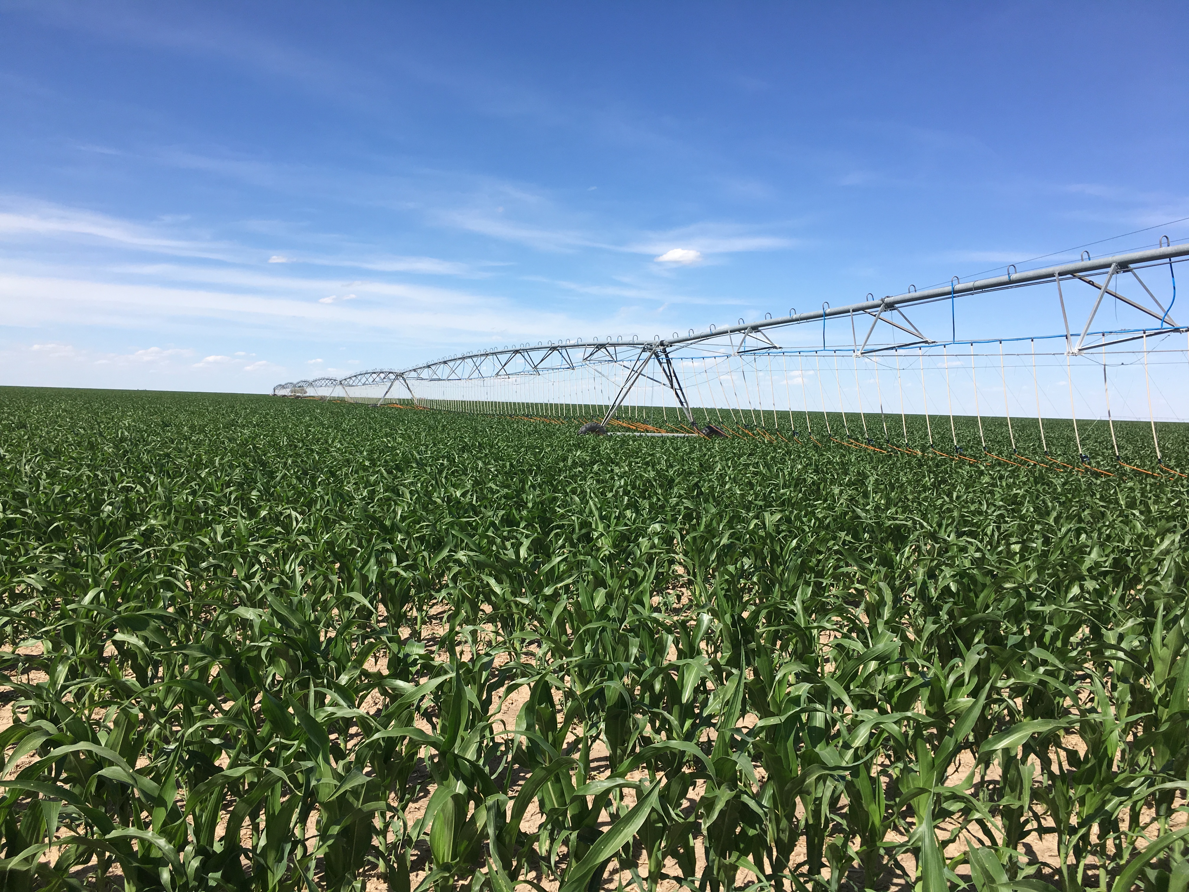 High Line Applications | dragon-line