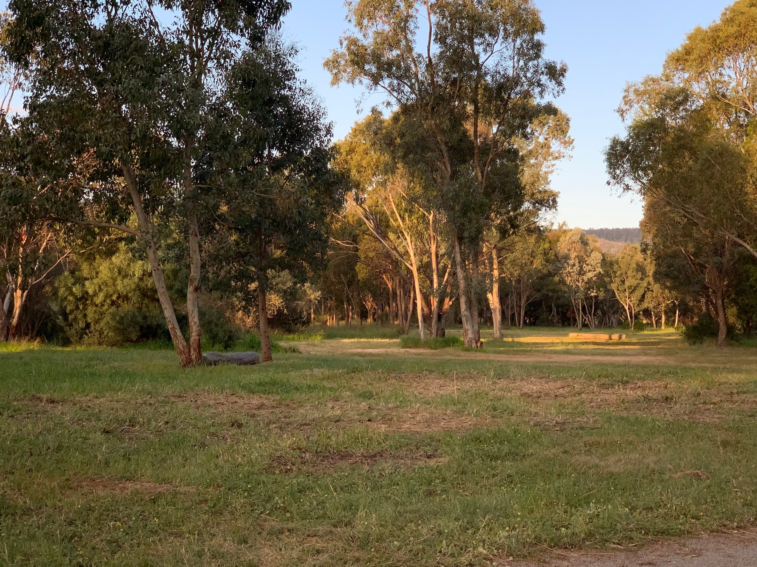 DDRA, Darling Downs Residents Association