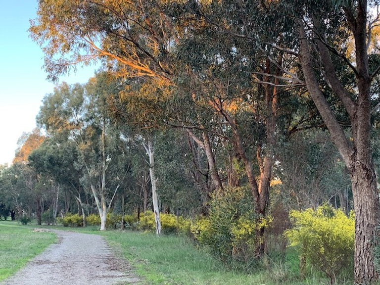 This is the season of Djilba.