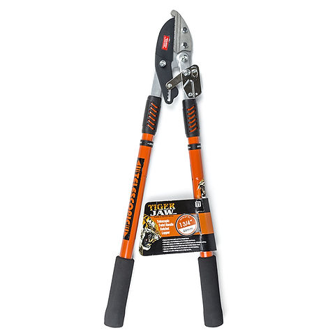 ratcheting pruning loppers