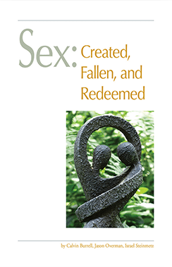 Sex: Created, Fallen, and Redeemed by Dr. Israel Steinmetz | The Bible ...