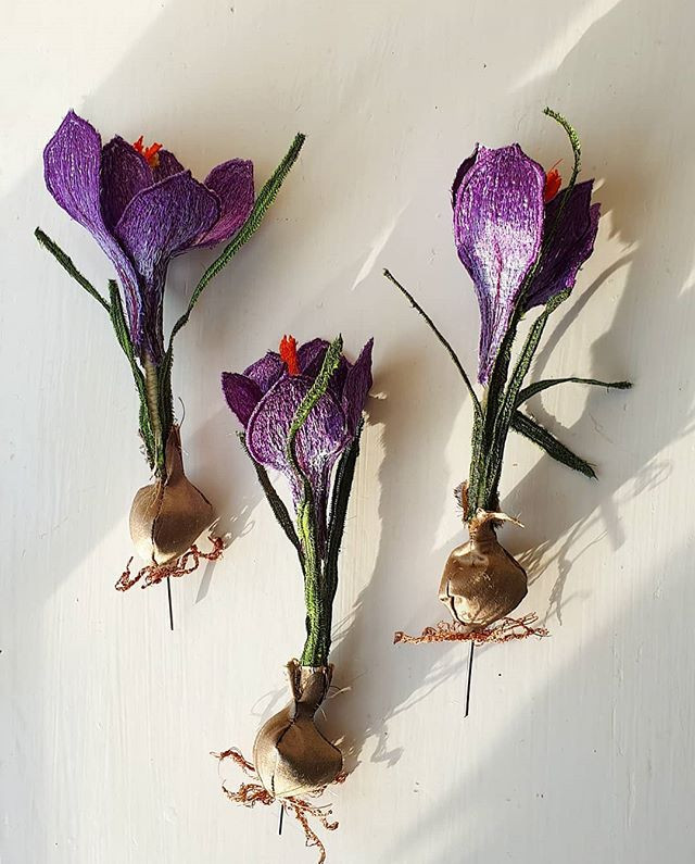 ABOUT | Emma Rosa Artist