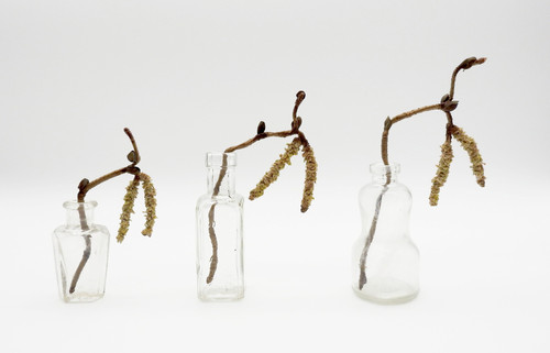 All Products | Emma Rosa Artist