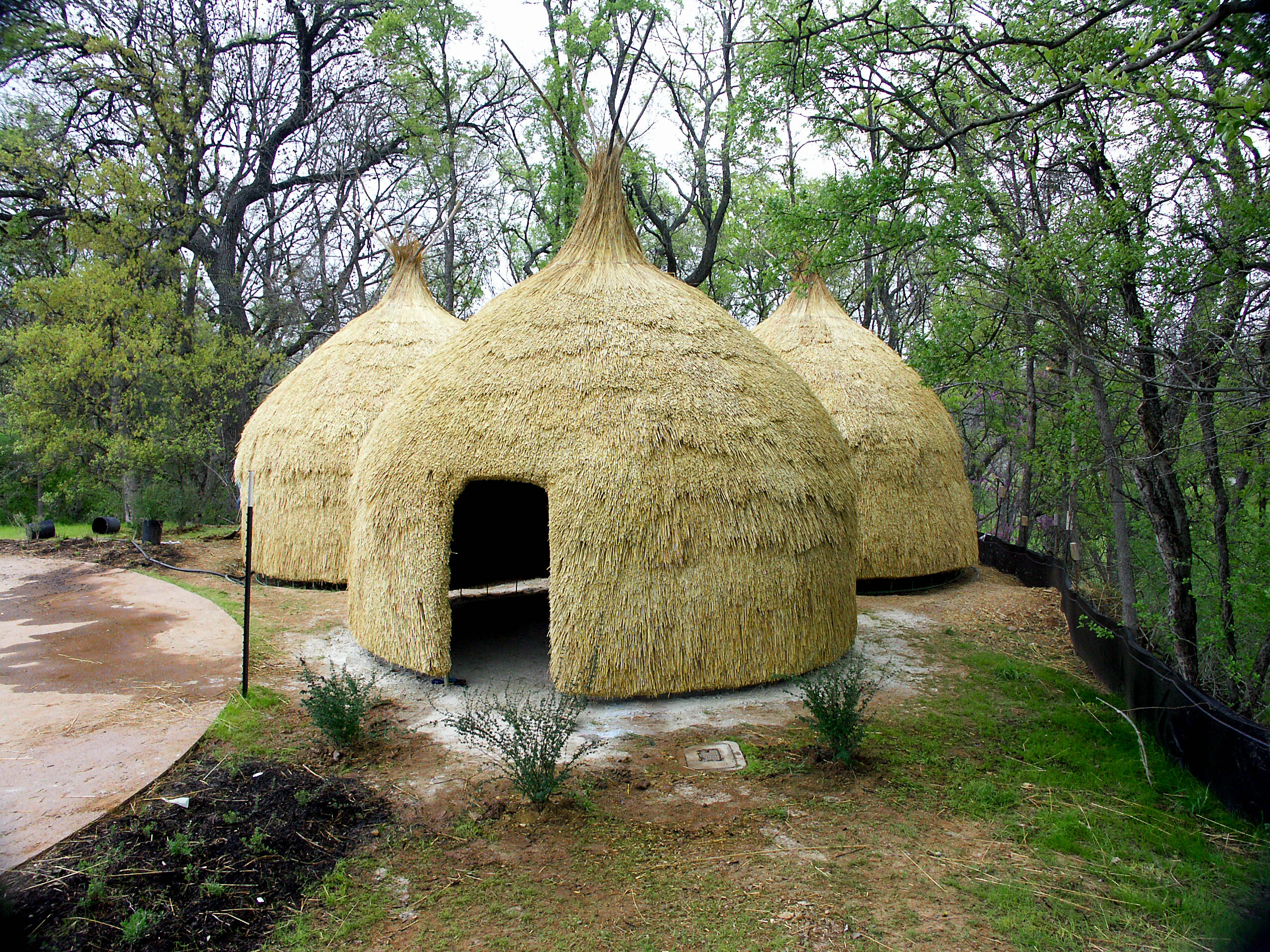 Master Thatcher - Pictures of Thatch work past and present