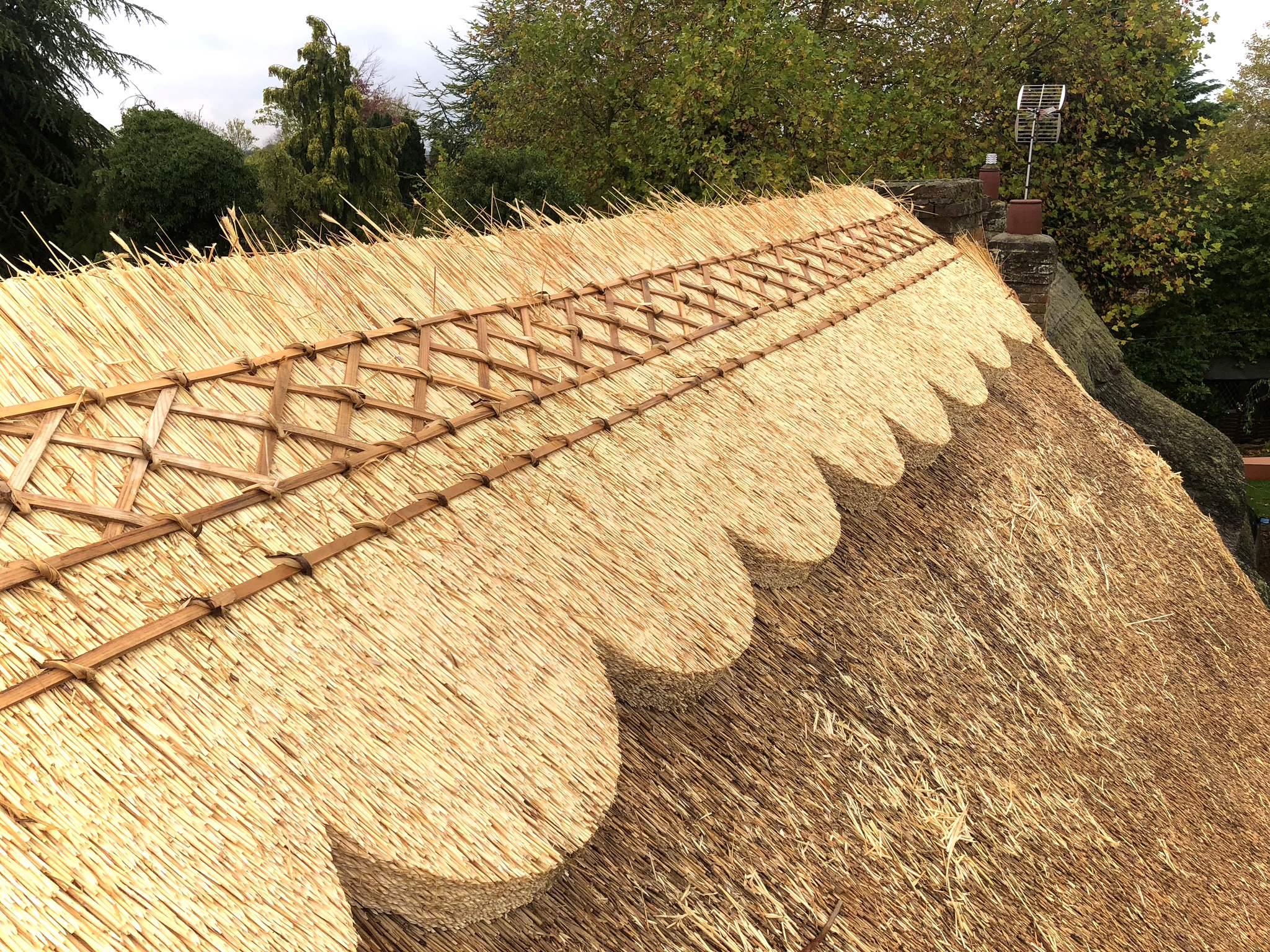 Master Thatcher - Pictures of Thatch work past and present