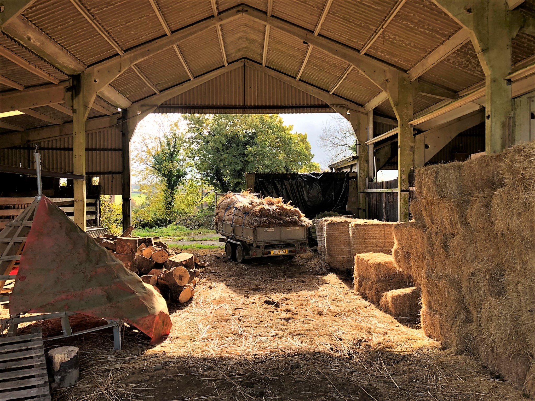 Master Thatcher - Pictures of Thatch work past and present