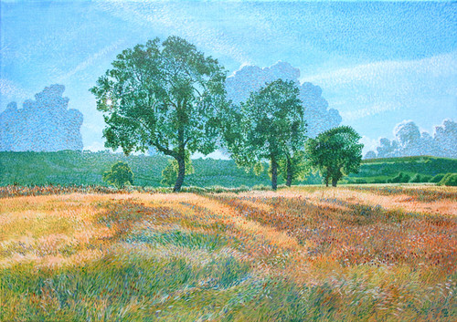 Hartington Summer Meadows | My Site 2