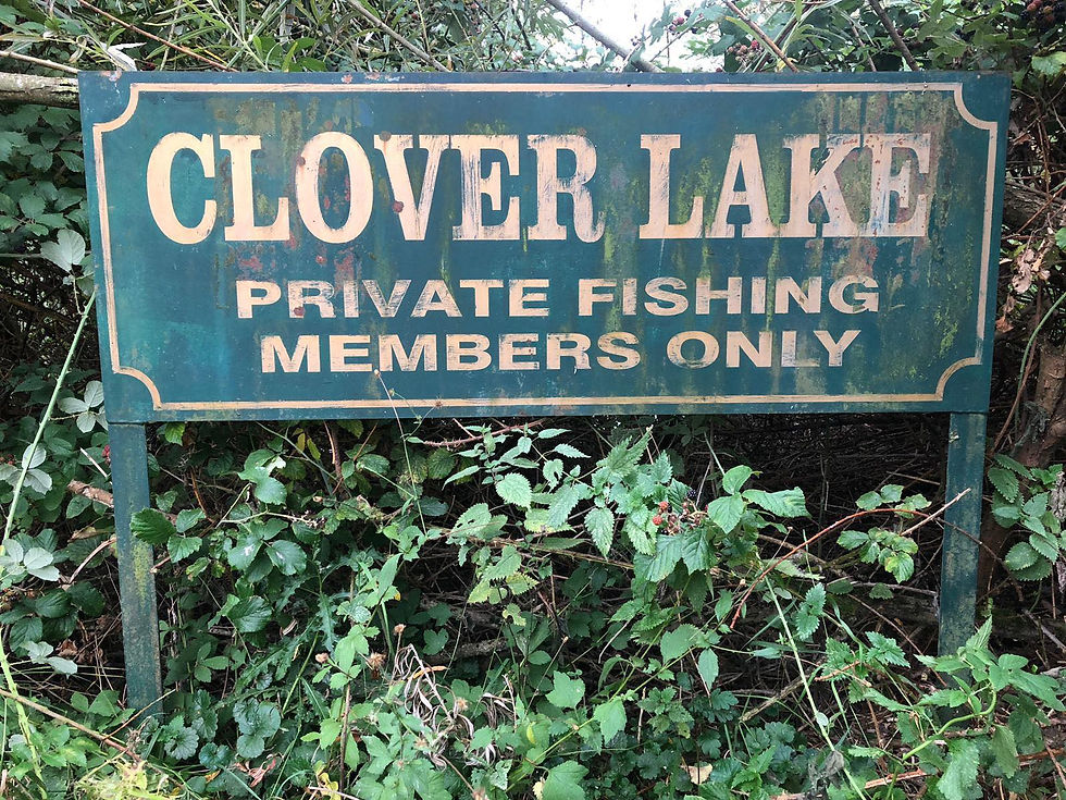 Clover Lake | Ecton Lakes Fishery
