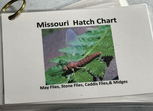 Missouri Hatch Chart – Laminated, Year-Round Insect Timing Guide ...