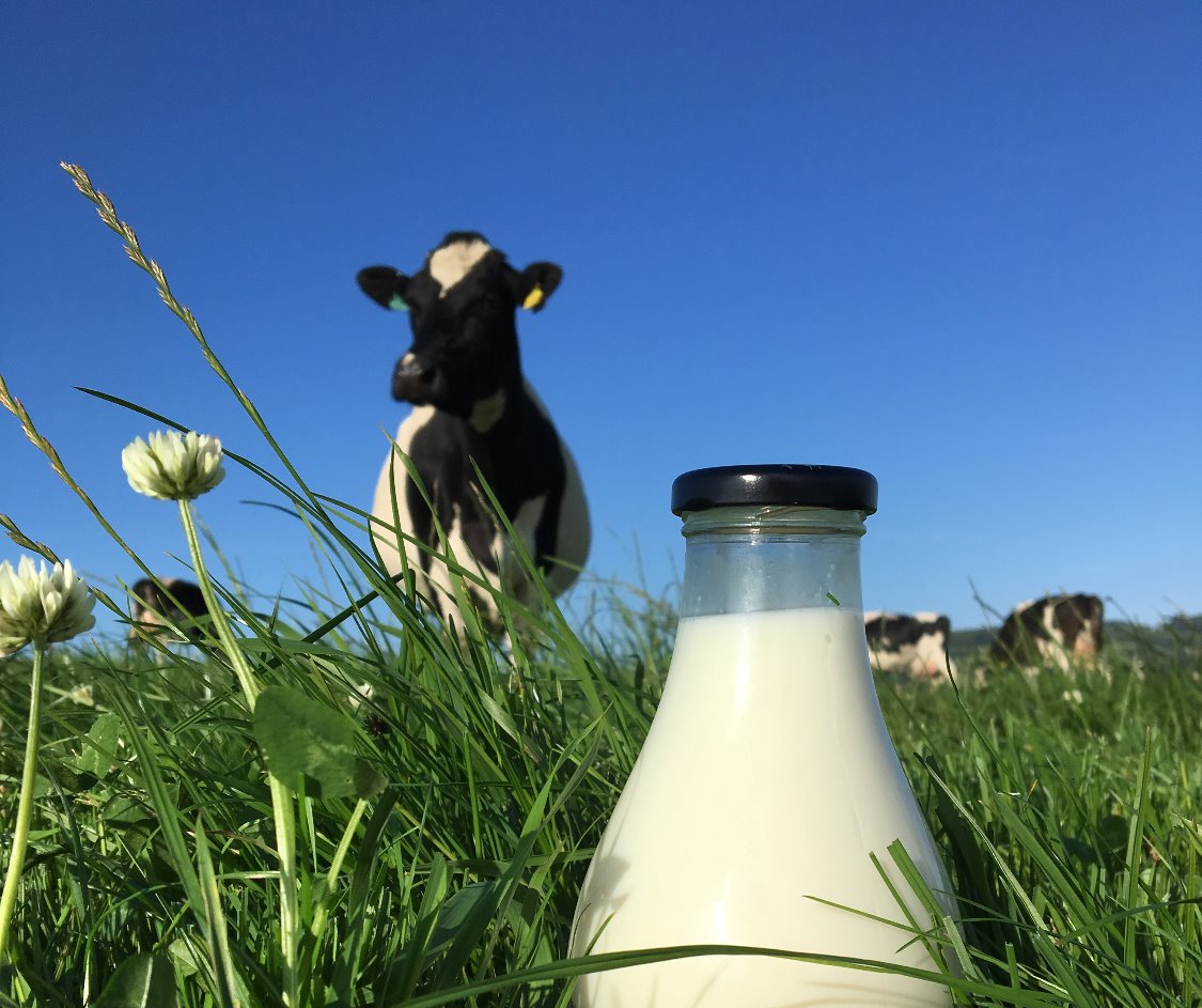 Forest Farm - The Organic Dairy