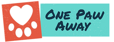 Dog Daycare, Boarding & Grooming Morristown, Randolph, NJ - One Paw Away