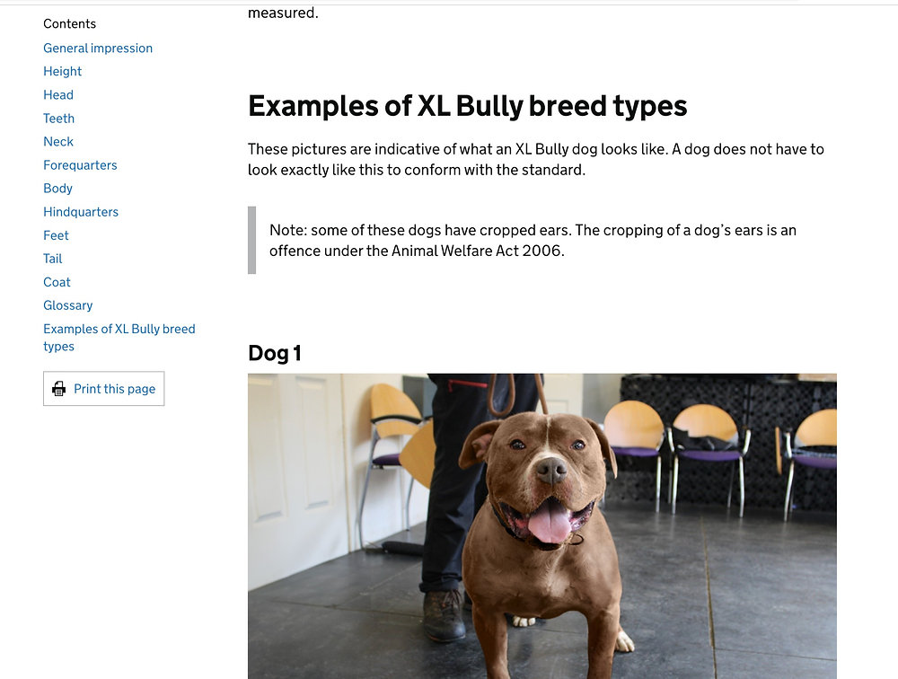 Updated Government Guidelines & Exemption process - 13th & 14th Nov 23