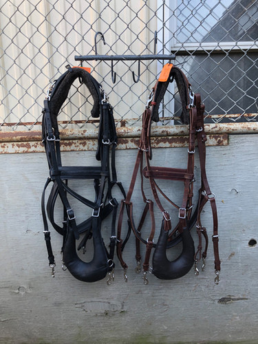 2 Pony Busell Tail Sets | Eastern Classic Sale
