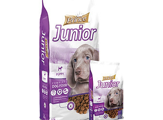 Prince Junior 4kg | Animal Kingdom