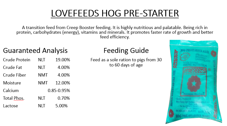 Hog | lovefeeds