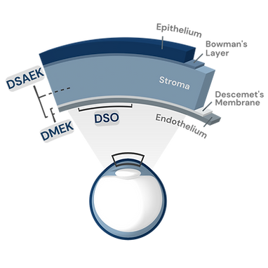 Patient Education | PCC
