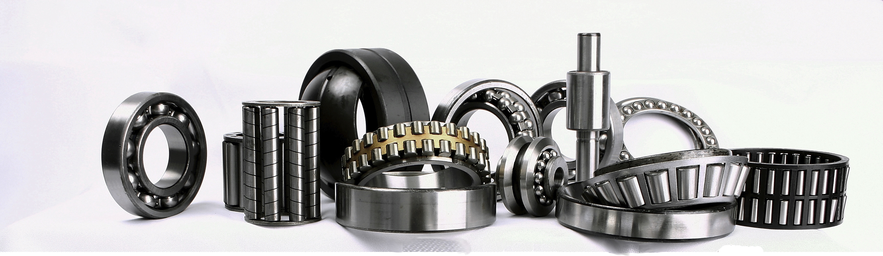 Baleros IBS | Monterrey | Vallejo | México