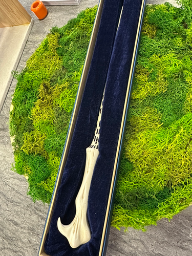 Hp Voldemort Wand | Sassy Clover