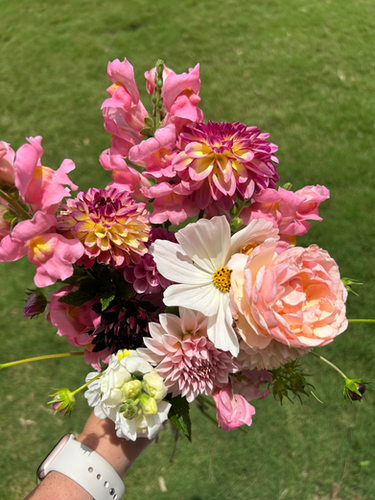 Small Grower's Choice Bunch | Jackson Mae Blooms
