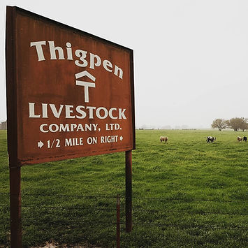 ORDER BUYING | Thigpen Cattle