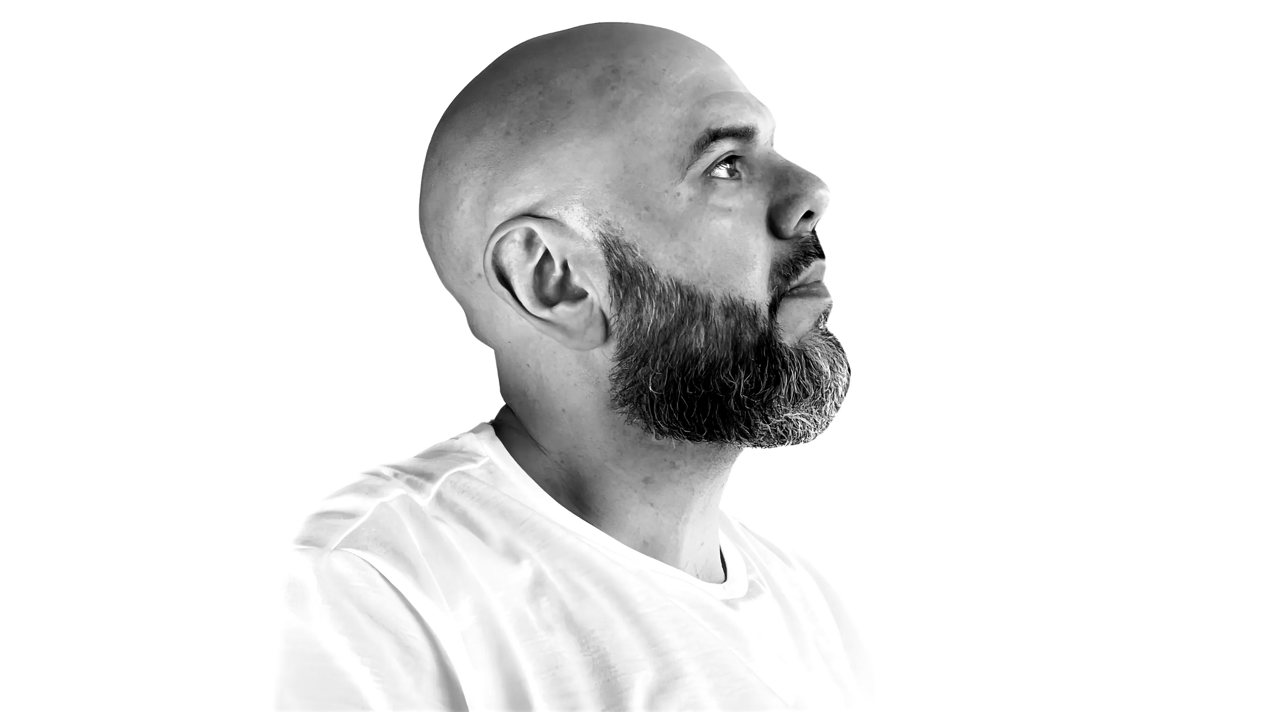 Creative Technologist | David Borish