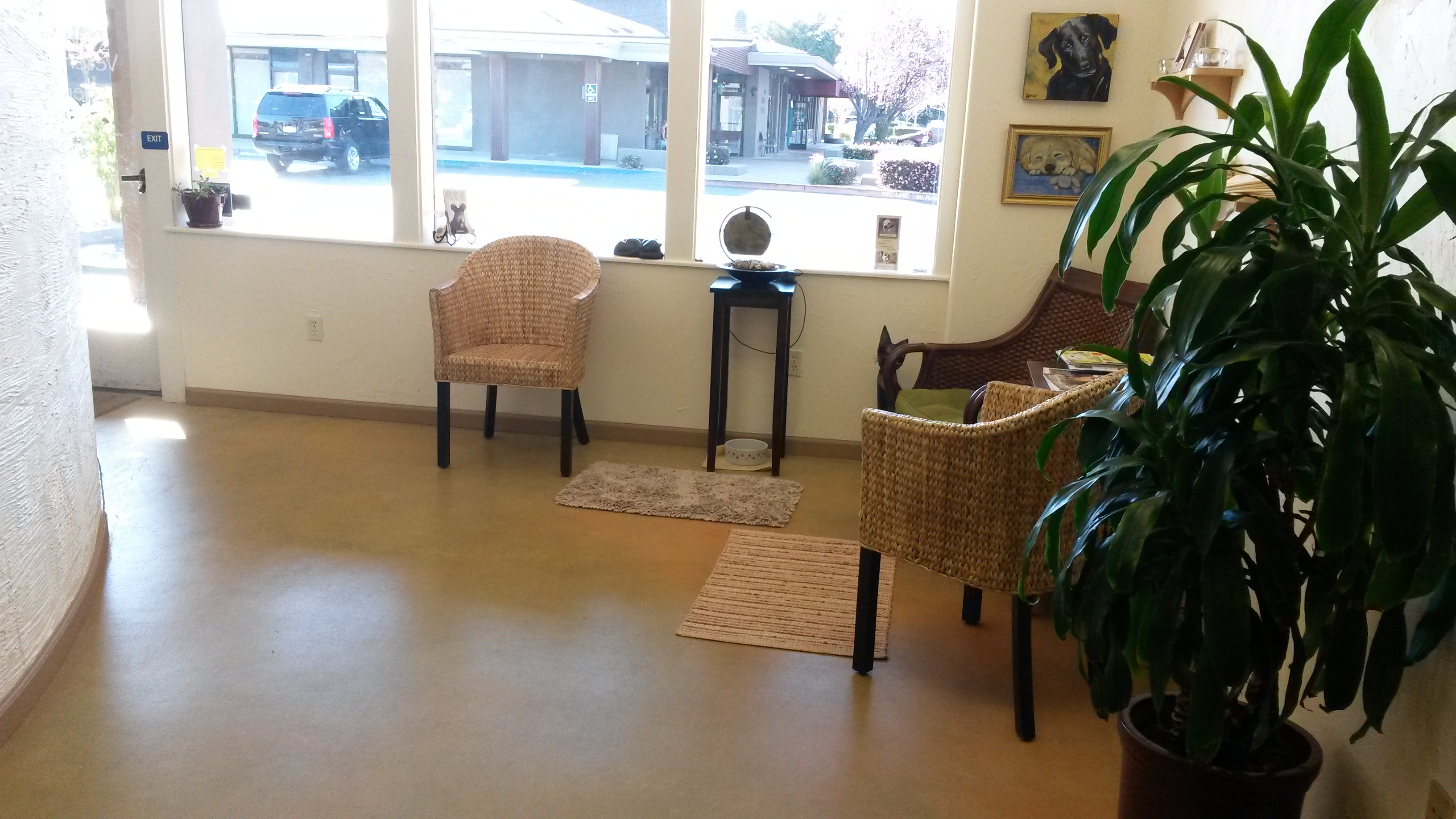 Natural Veterinary Therapy | Carmel, CA