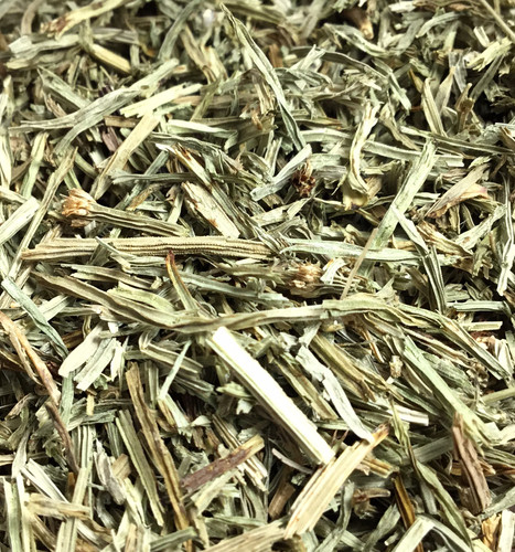 Horsetail Herb (Shavegrass) 1oz | tnphhaus