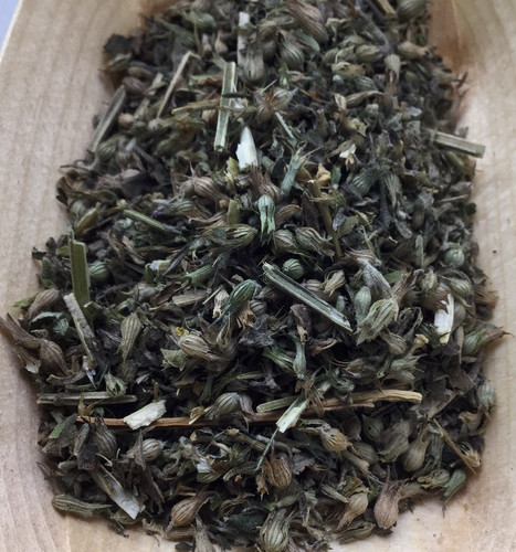 Catnip Leaf Spice Jar | tnphhaus