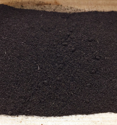 Black Walnut Hulls Powder 1oz | tnphhaus