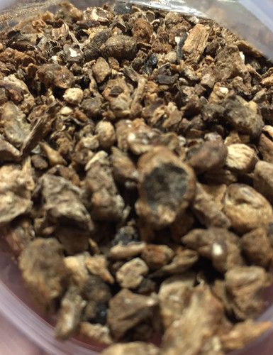 Devil's Claw Root 1oz | tnphhaus