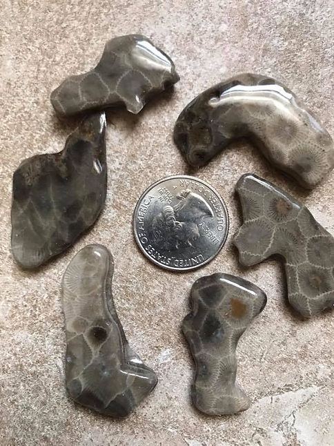 petoskey stone coloring pages