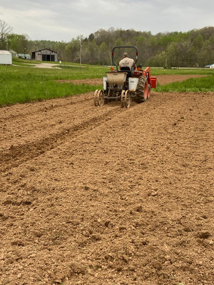 Planting food plots | My Site