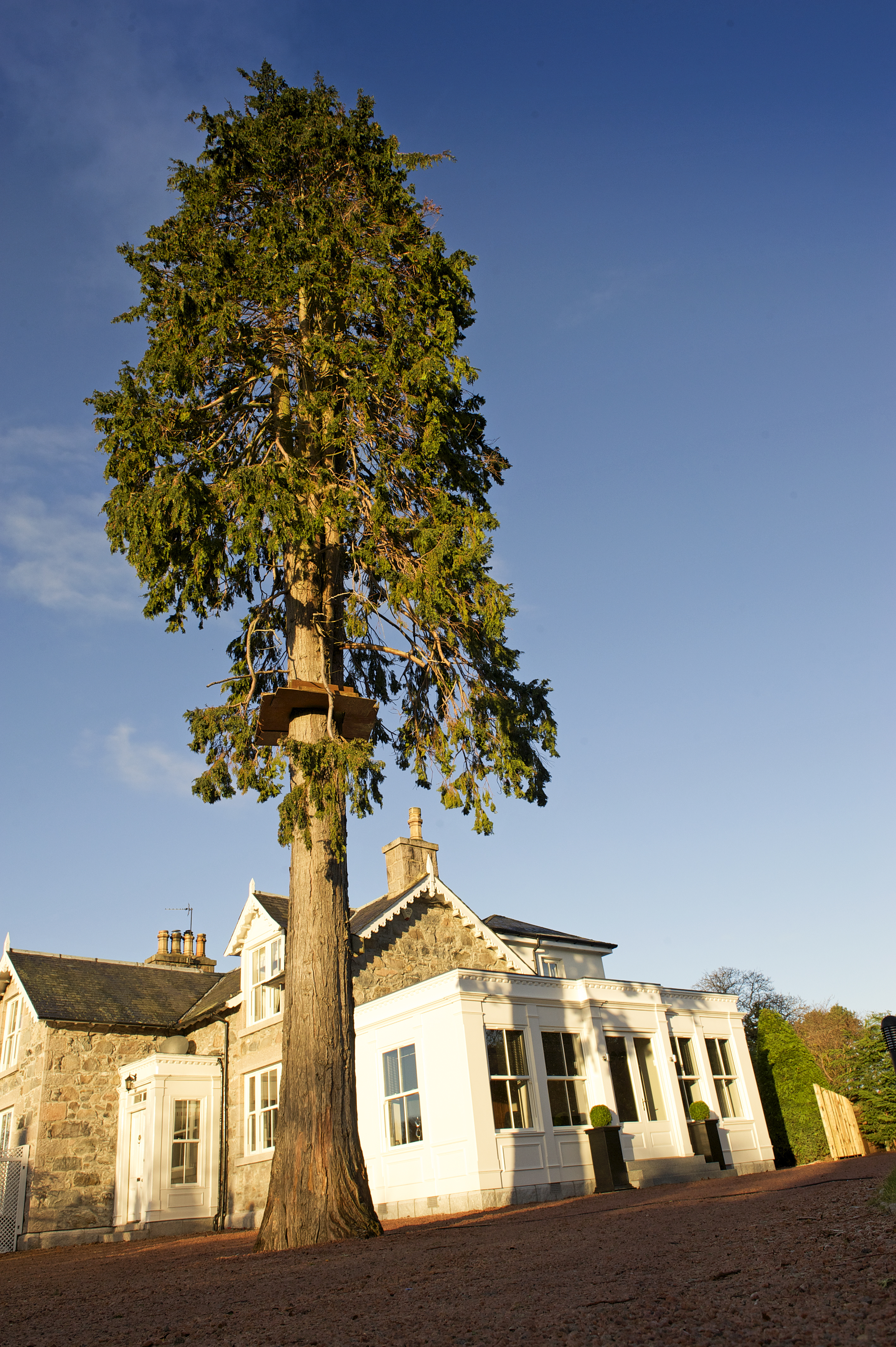 Ramsden House | Aberdeen | Roundhouse Architecture Ltd