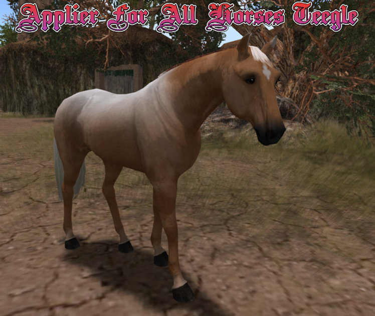 Poney Breton - Skins