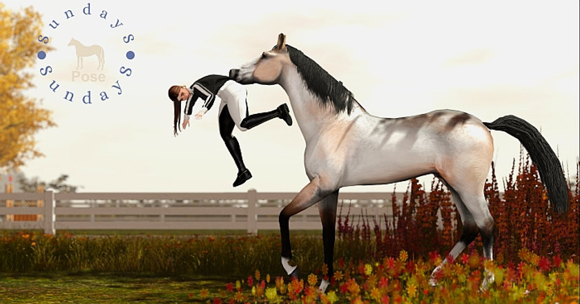 SundayS - Gotcha Pose