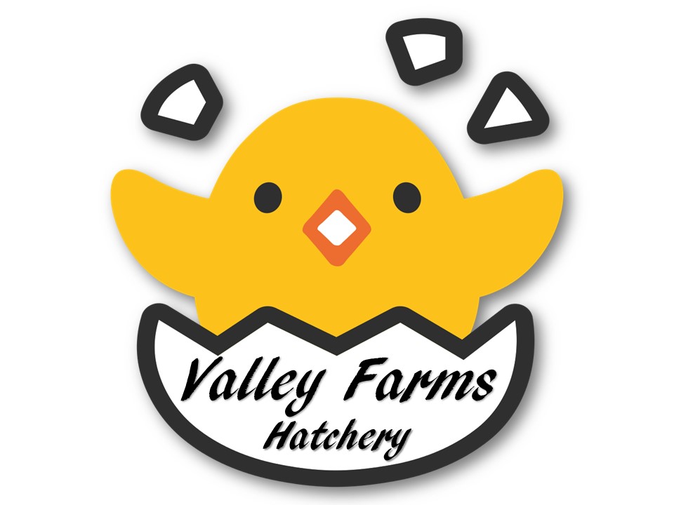 Valley Farms Hatchery - Home