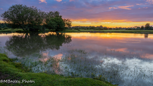 Janesmoor Pond at Blue Hour - A2 Framed Print | MBailey Photos