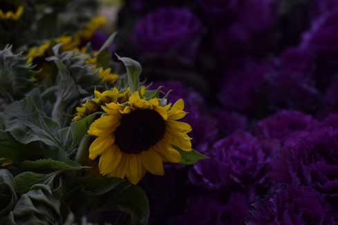 HOME | flawlessflowers