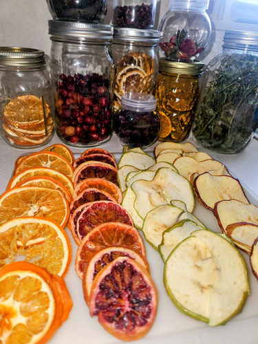 Dried fruit | Tree of Bayou Babe H