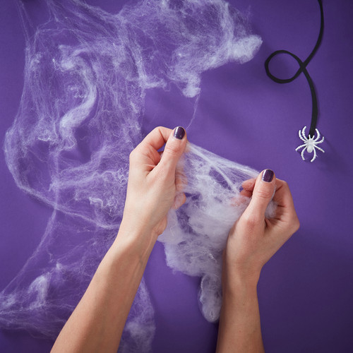 Fake Spider Web with Plastic Spider | thepartybox.co.uk