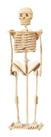 Tin Set - Discover The Human Body | Willow Boutique