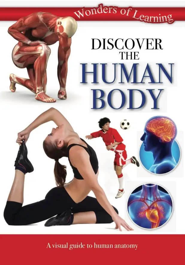 Tin Set - Discover The Human Body | Willow Boutique