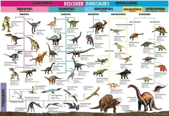 Tin Set - Discover Dinosaurs | Willow Boutique