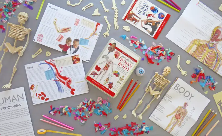 Tin Set - Discover The Human Body | Willow Boutique