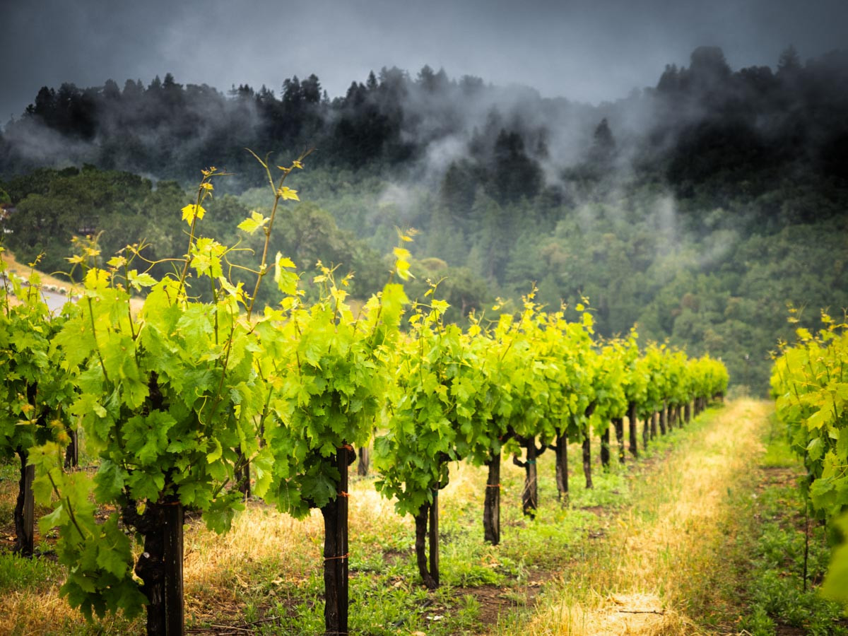 OUR STORY | RRV Website